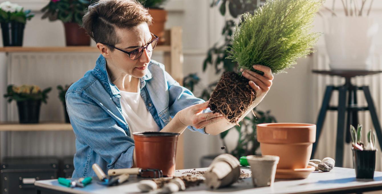 Mon chez-moi | Beneva